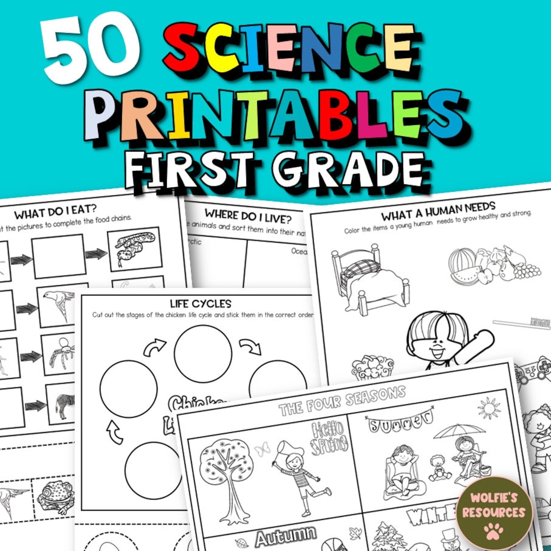 First Grade Science Worksheets Free Printable - Printable Worksheets