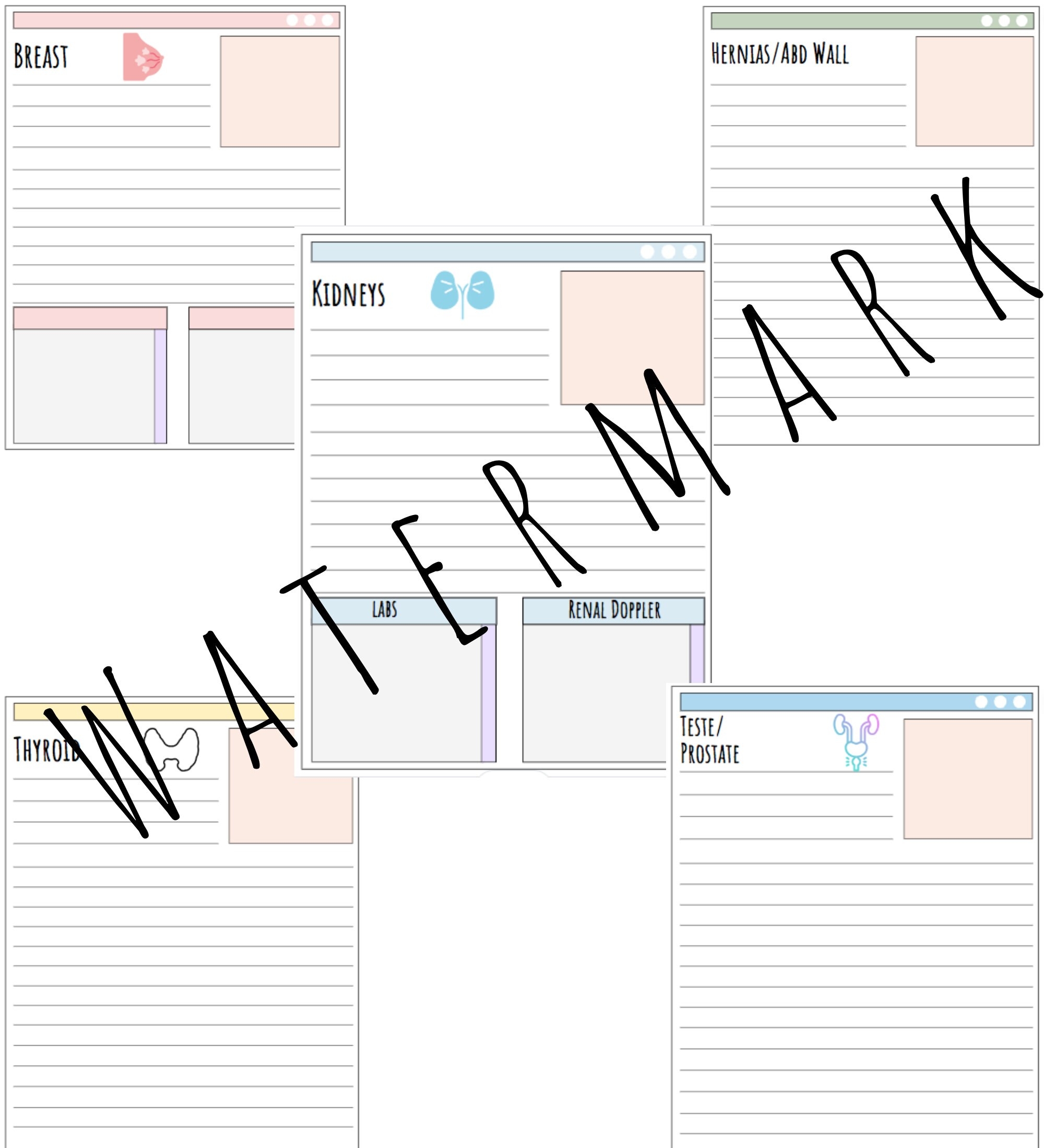 Free Printable Ultrasound Worksheets Prostate - Printable Worksheets