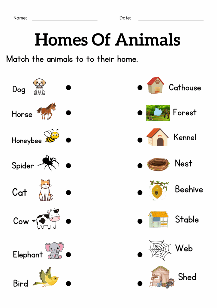 Animal Homes Worksheet Free Printable - Printable Worksheets