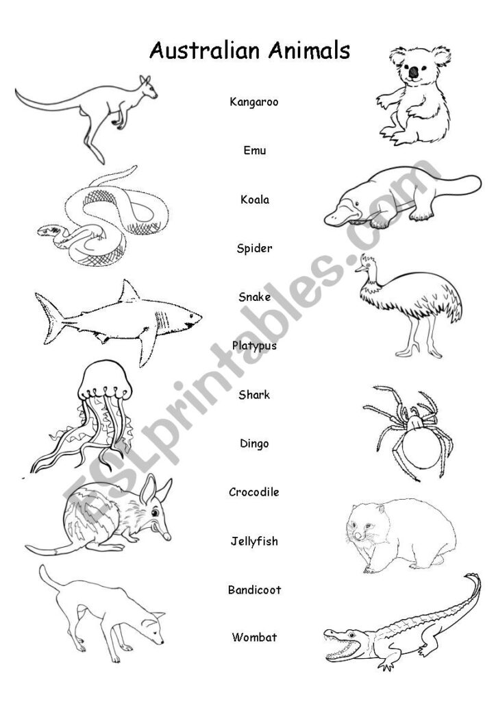 Free Printable Australian Animals Worksheets - Printable Worksheets