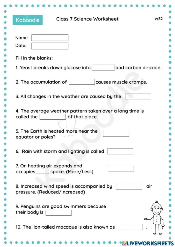 Year 7 Worksheets Free Printable Science - Printable Worksheets