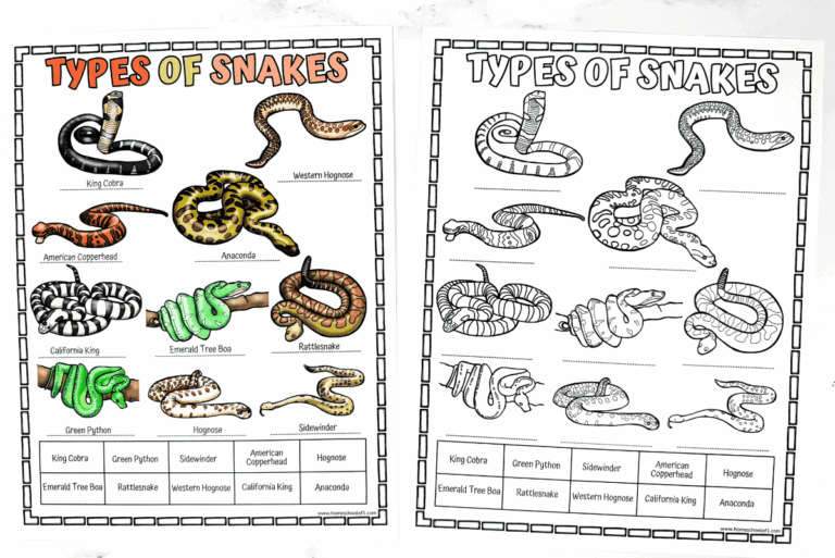 Free Printable Snake Worksheets - Printable Worksheets