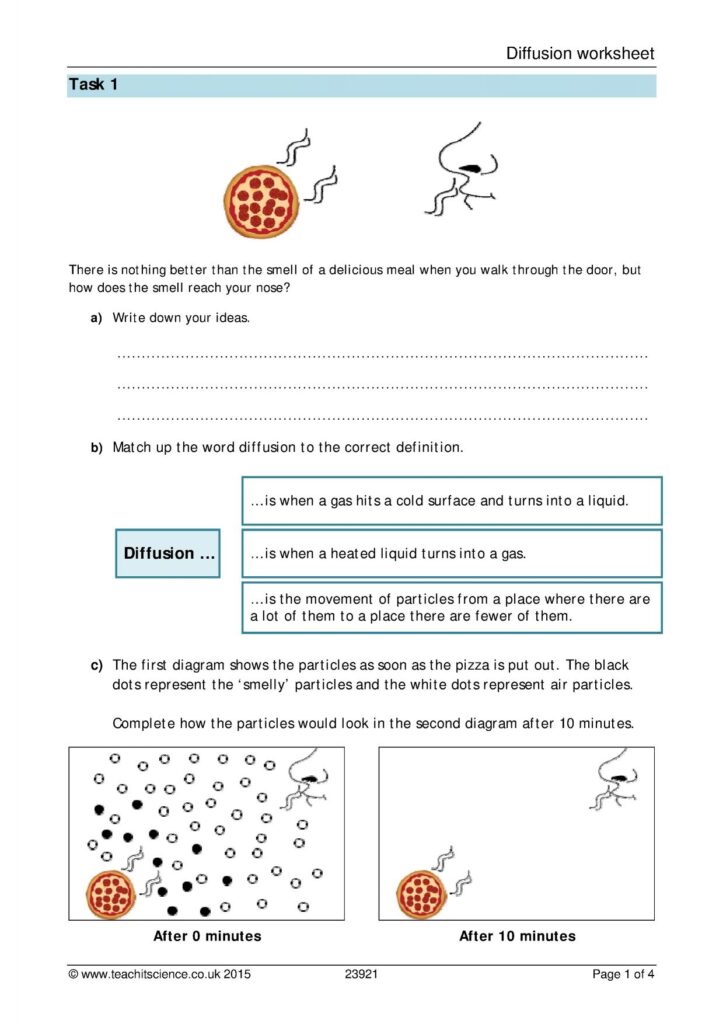 Ks3 Science Worksheets Free Printables - Printable Worksheets