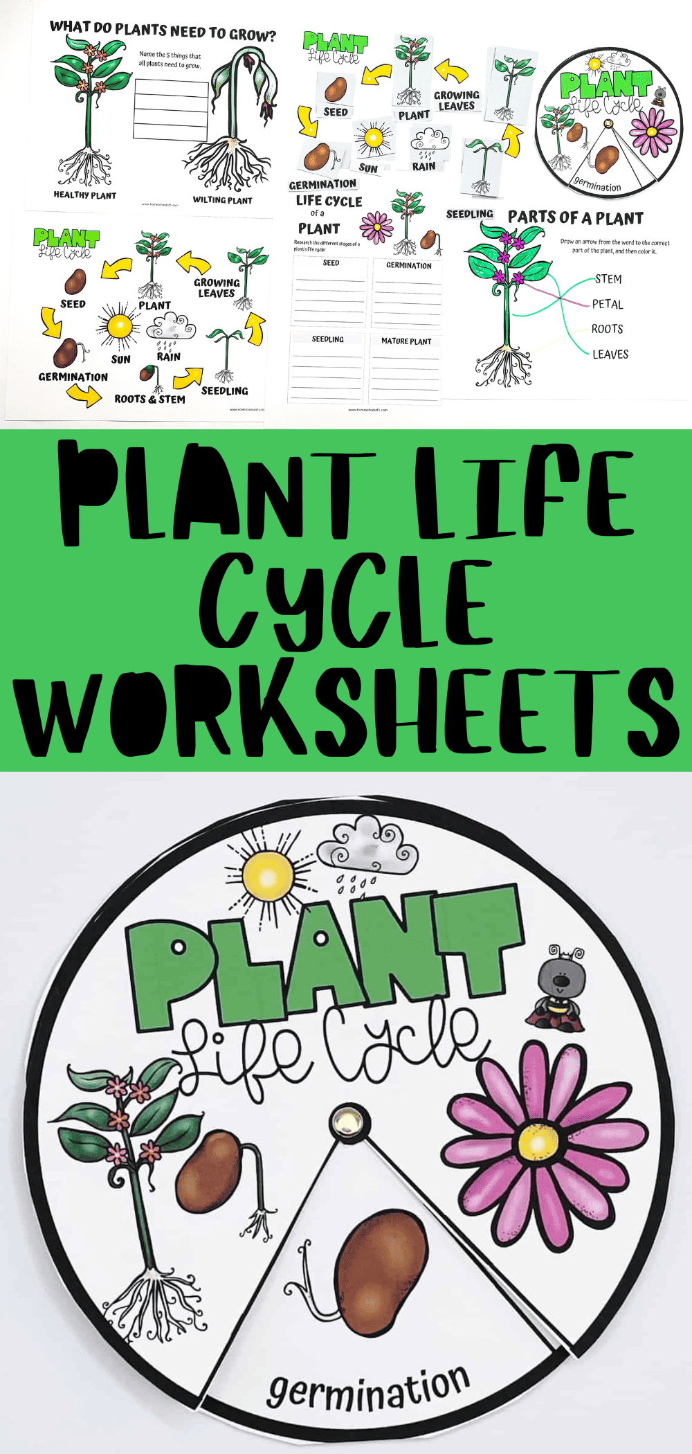 Free Printable Plant Growth Worksheets - Printable Worksheets