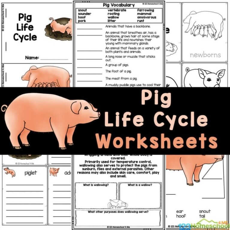 Free Printable Pig Worksheets - Printable Worksheets