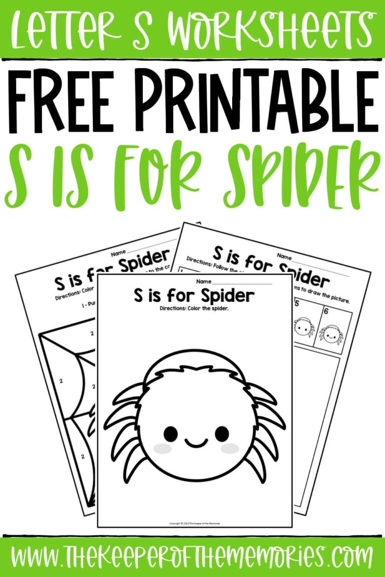 Free Printable Spider Worksheets - Printable Worksheets