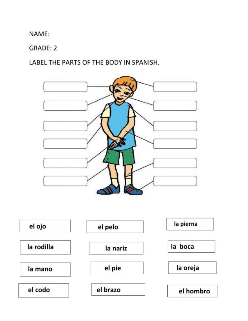 Free Printable Spanish Body Parts Worksheets - Printable Worksheets