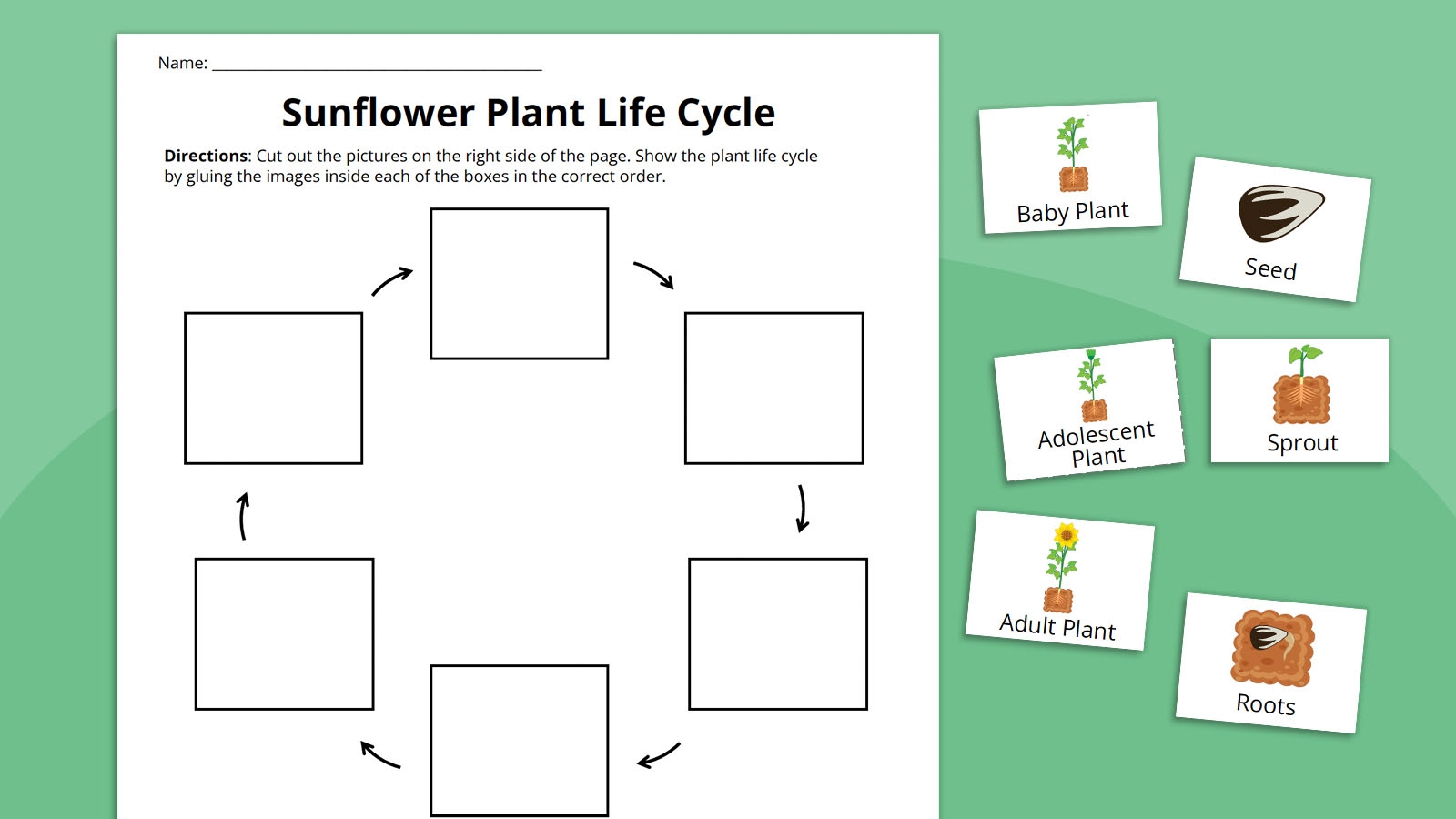 Free Printable Plant Growth Worksheets - Printable Worksheets