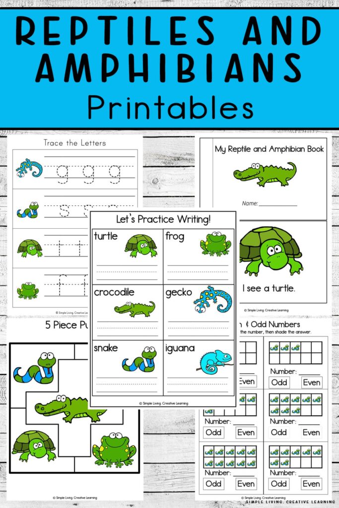 Free Printable Reptile Worksheets - Printable Worksheets