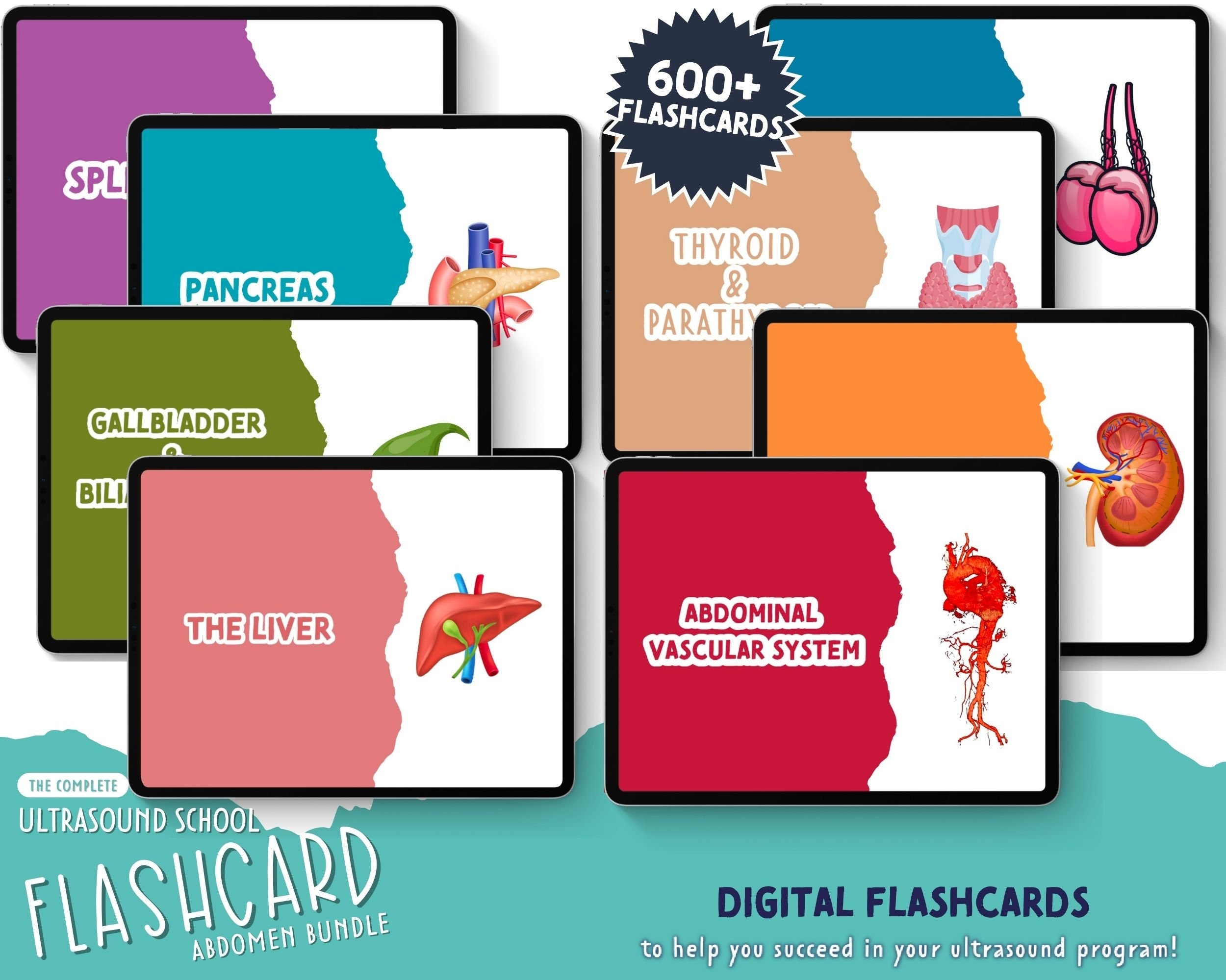 Abdominal Ultrasound Free Printable Ultrasound Worksheets - Printable ...