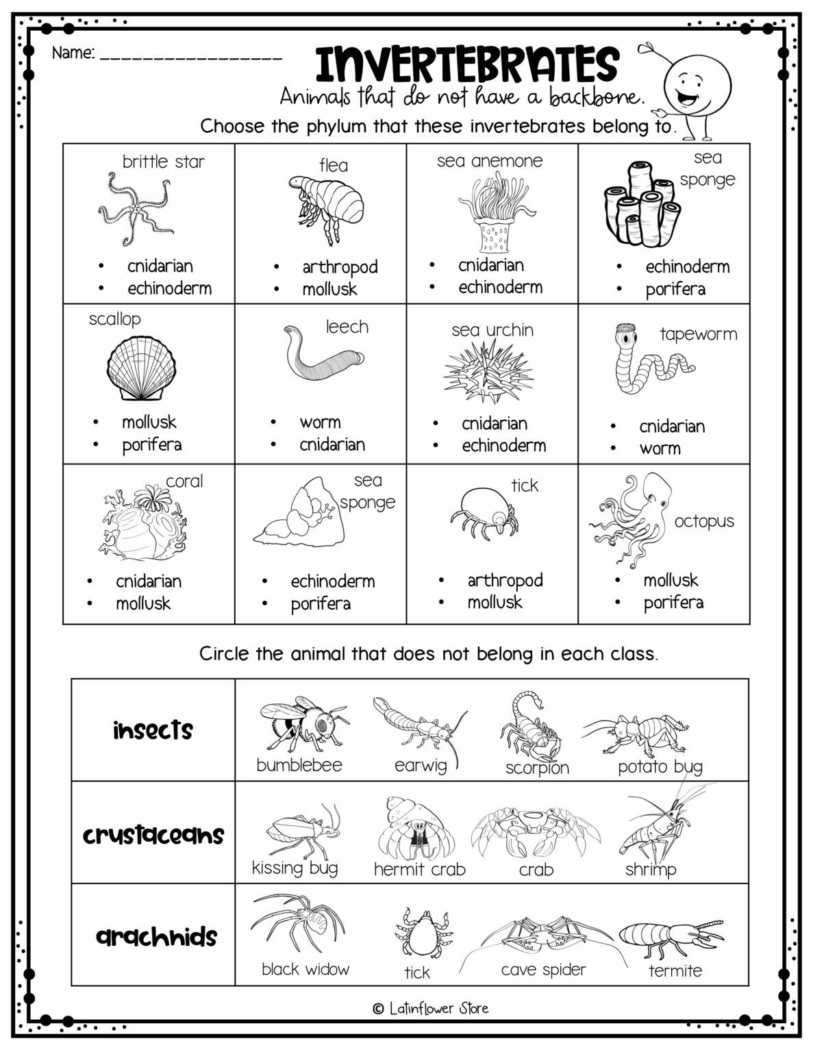 Invertebrates Worksheets Free Printable - Printable Worksheets