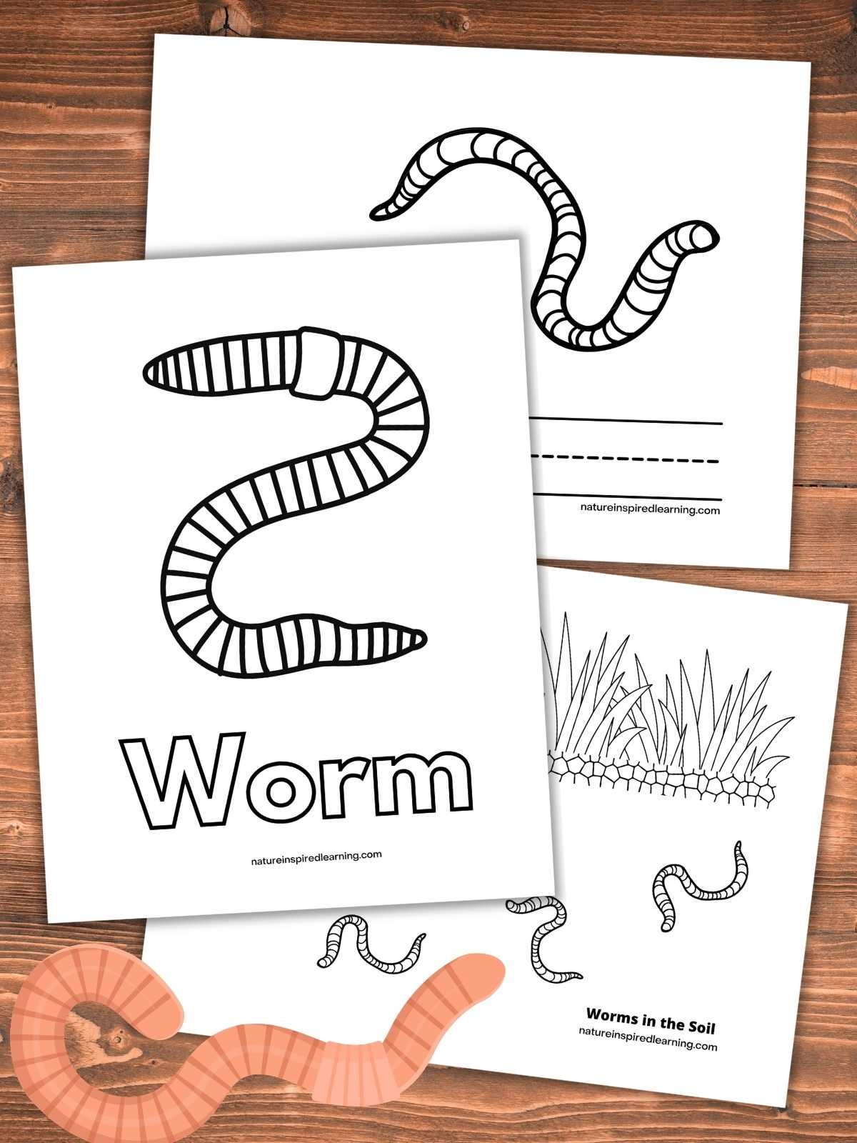 Free Printable Worm Worksheets - Printable Worksheets