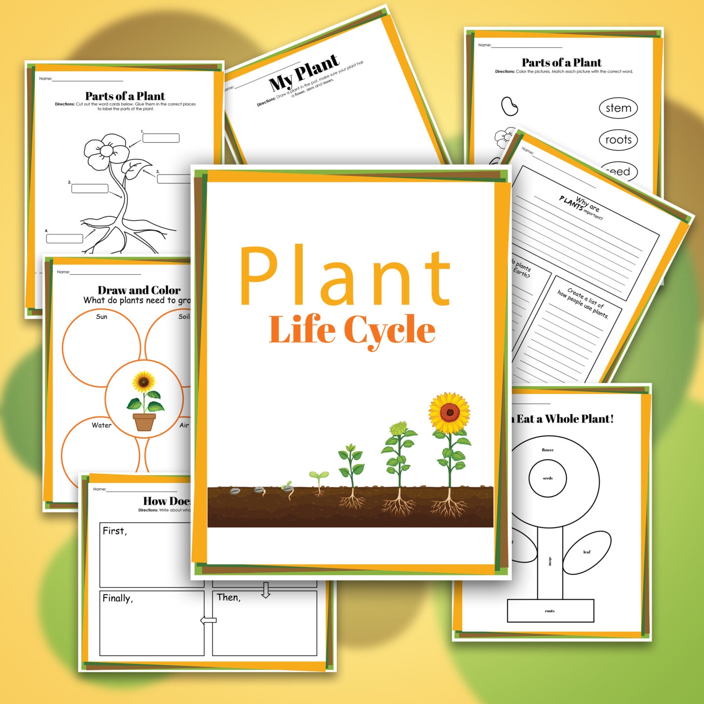 Free Printable Plant Cycle Worksheets - Printable Worksheets